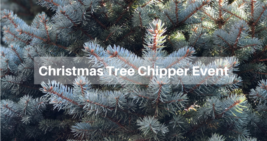 Coquitlam Christmas Tree Chipping Events for 2021 | COQUITLAM REALTOR ...